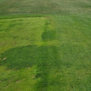 HIO - Anders Norman | Dormy Golf