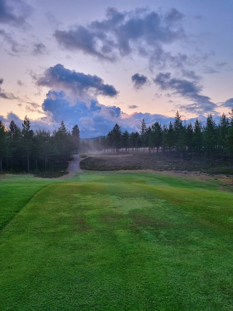 HIO - Peter Levin | Dormy Golf