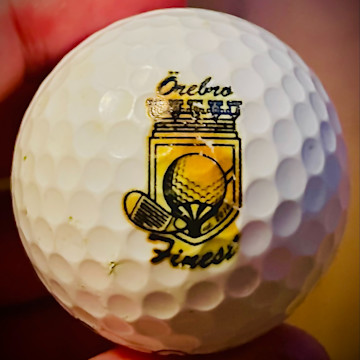 HIO - Tony Hultqvist | Dormy Golf