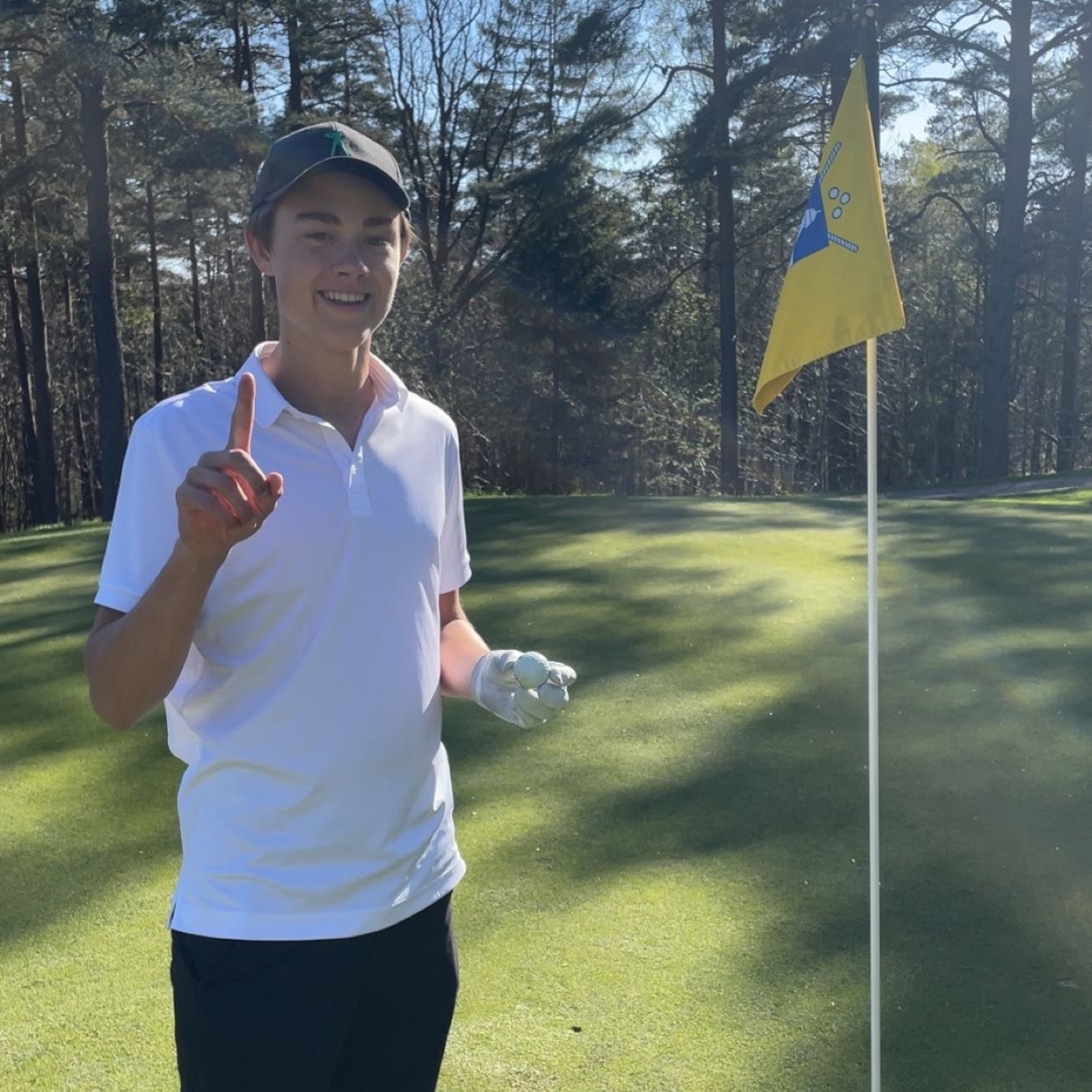 HIO - Elton Henricson | Dormy Golf